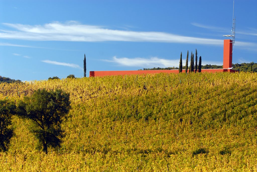 Wine cellars: Top 10 most beautiful wine cellars